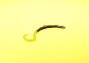 Rubber Worm Fishing – anythingfishing.com